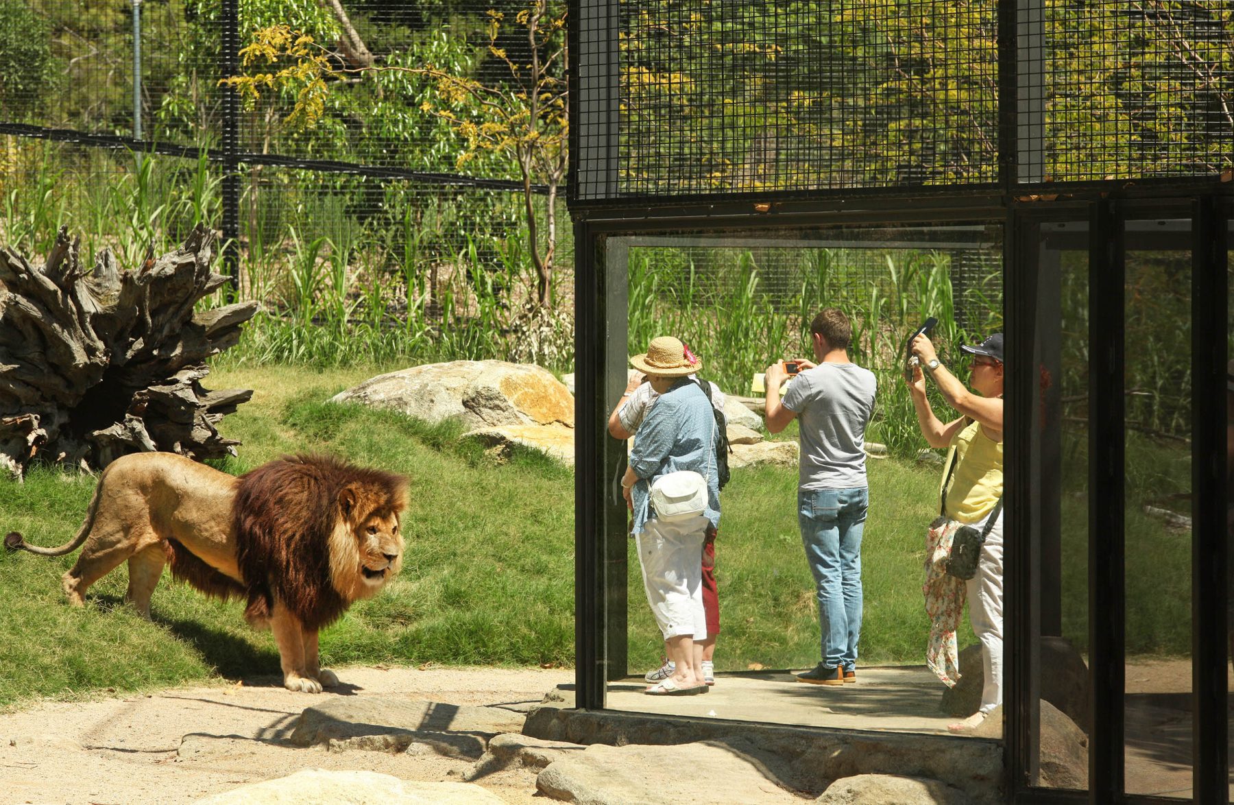 VFloat™ SuperClear for Crystal Clear » Viridian Glass