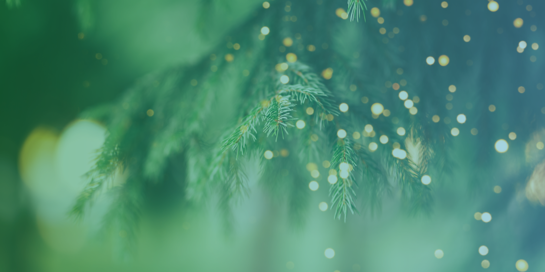 Christmas 2024 Closure Notice » News » Viridian Glass